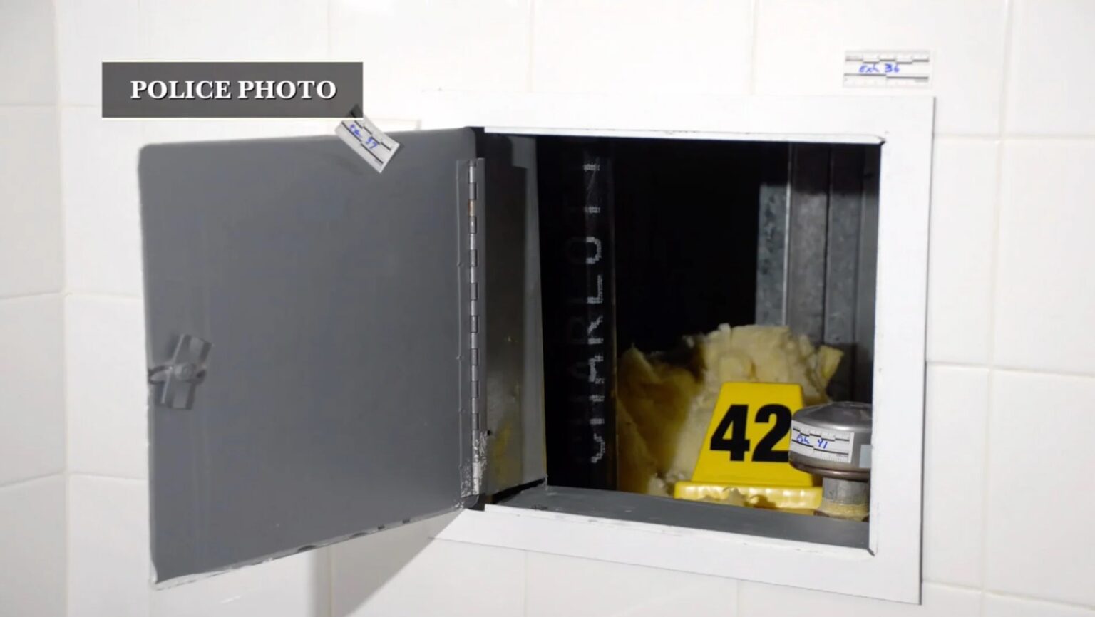 Episode 041: Annie Le – Bite-Sized Crime